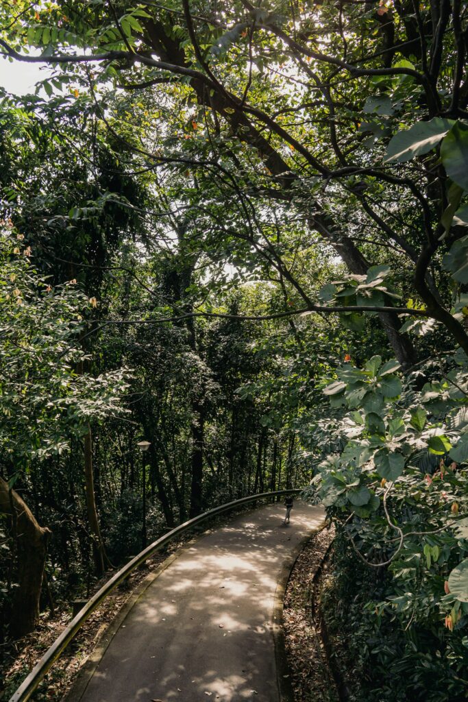Cycling in Singapore: A Simple Guide – Visitor’s Concierge at Your Service